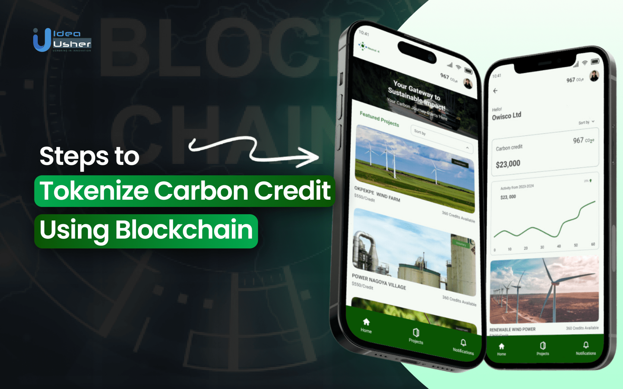 Steps to Tokenize Carbon Credits Using Blockchain - Idea Usher